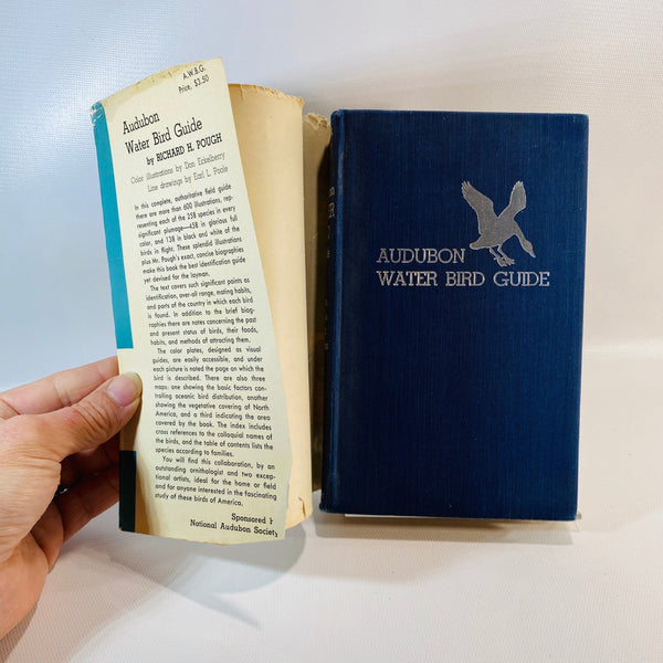 Audubon Water Bird Guide by Richard H. Pough 1951 - Reading Vintage